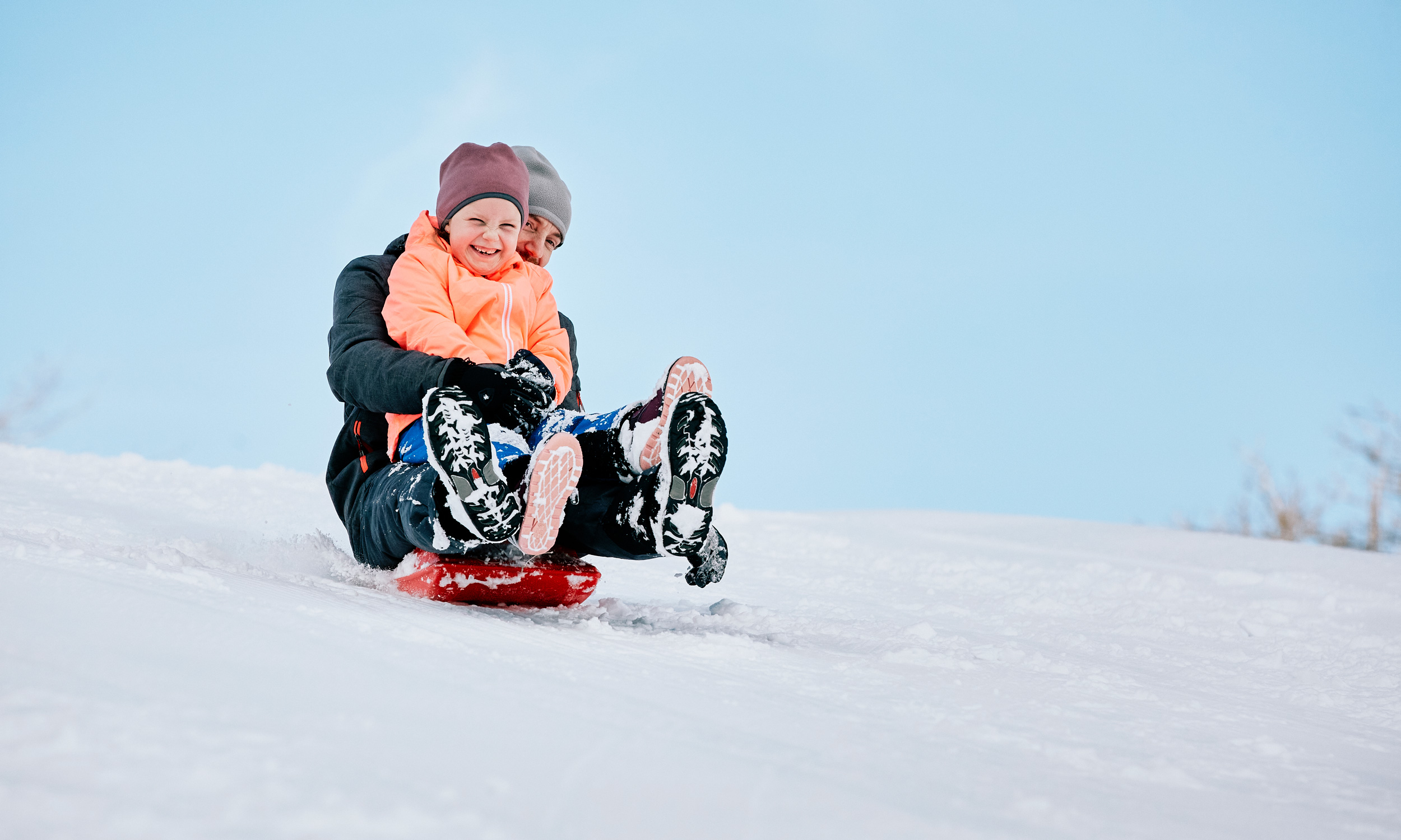 Neureichenau | Rodeln